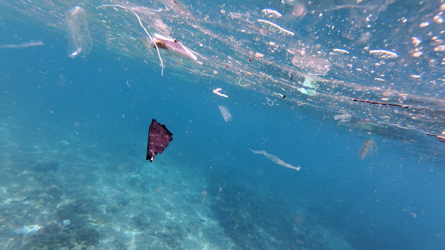 Bali’s Plastic Problem: A 2025 Update on the Fight for a Cleaner ...